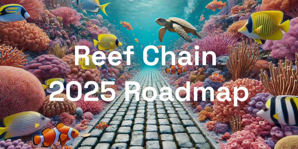 The Reef 2025 Roadmap is Here